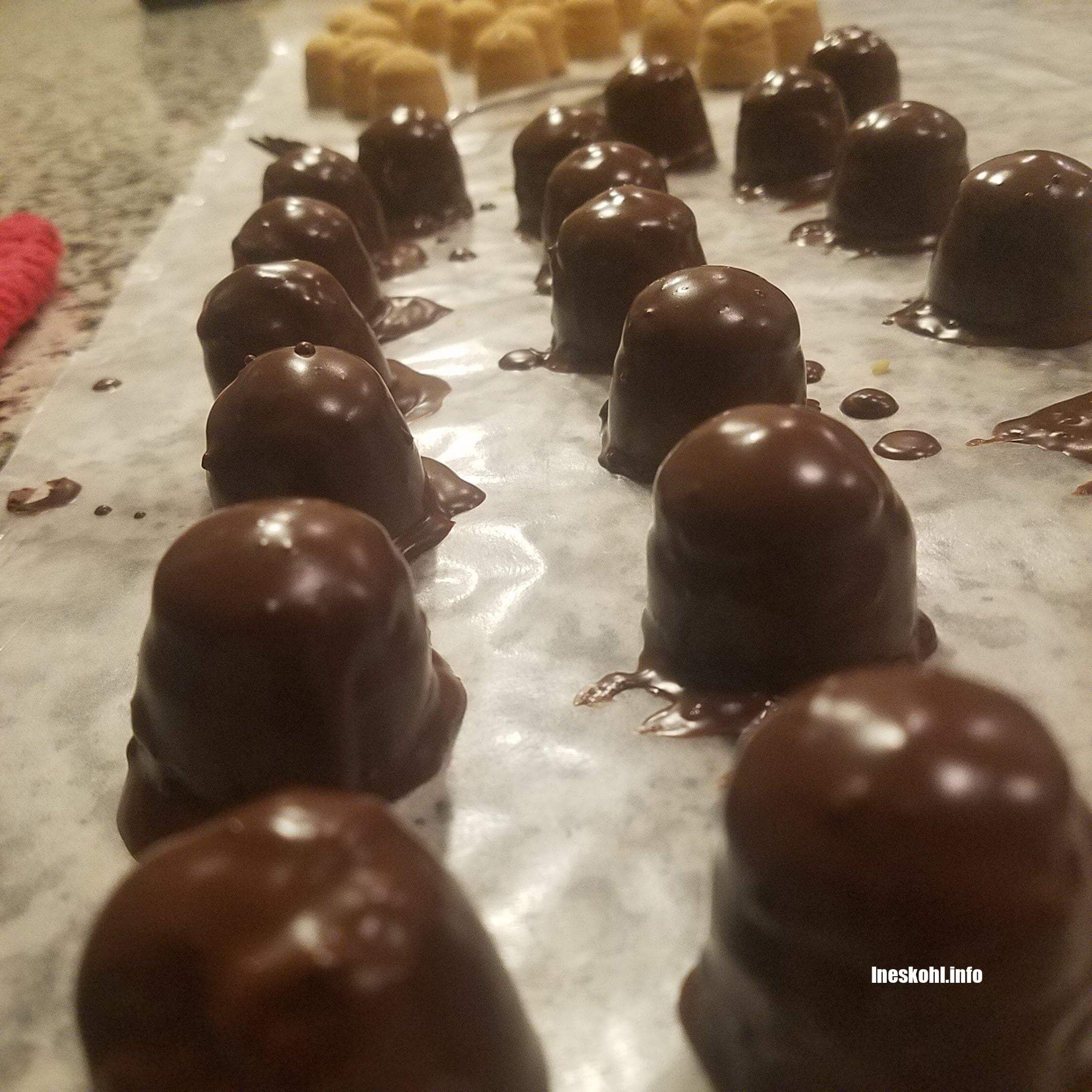 Chocolate Peanut Butter Balls Recipe | InesKohl Kitchen