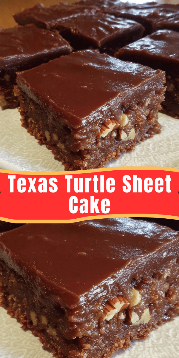 Texas Turtle Sheet Cake